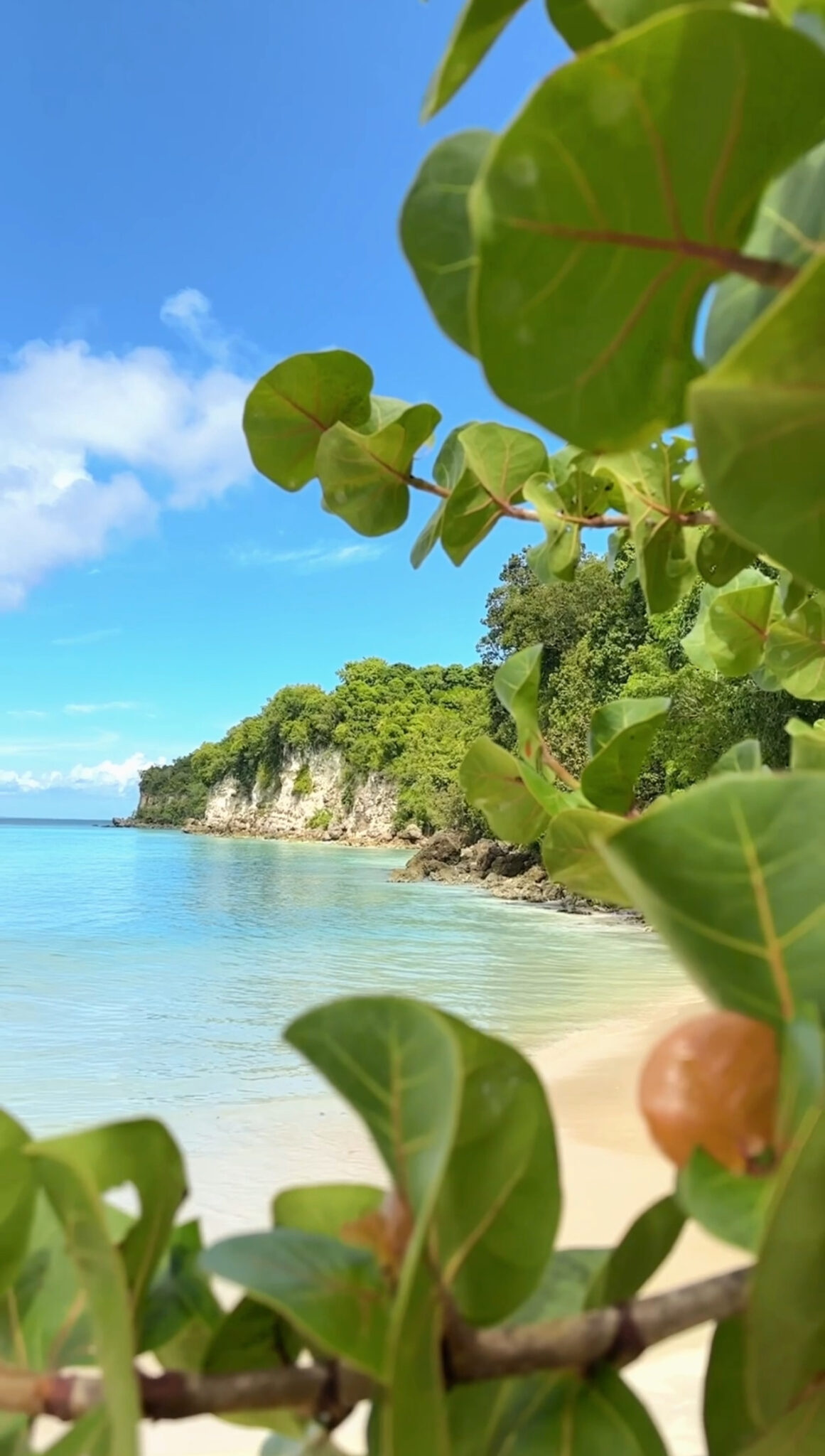 What I wish I knew before visiting Dominica | Rosalynn Daniels